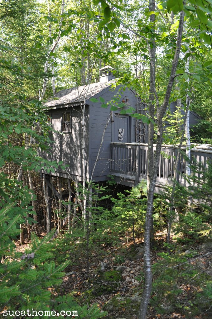 A Visit to Hidden Pond – Sue At Home